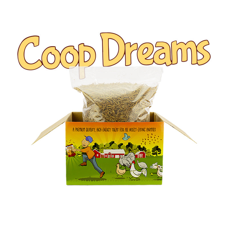 Coop Dreams Limited Edition Boxes – Chubby Mealworms USA